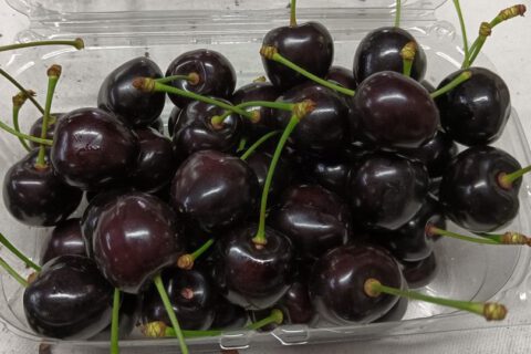 Kersen | Aspergeboerderij